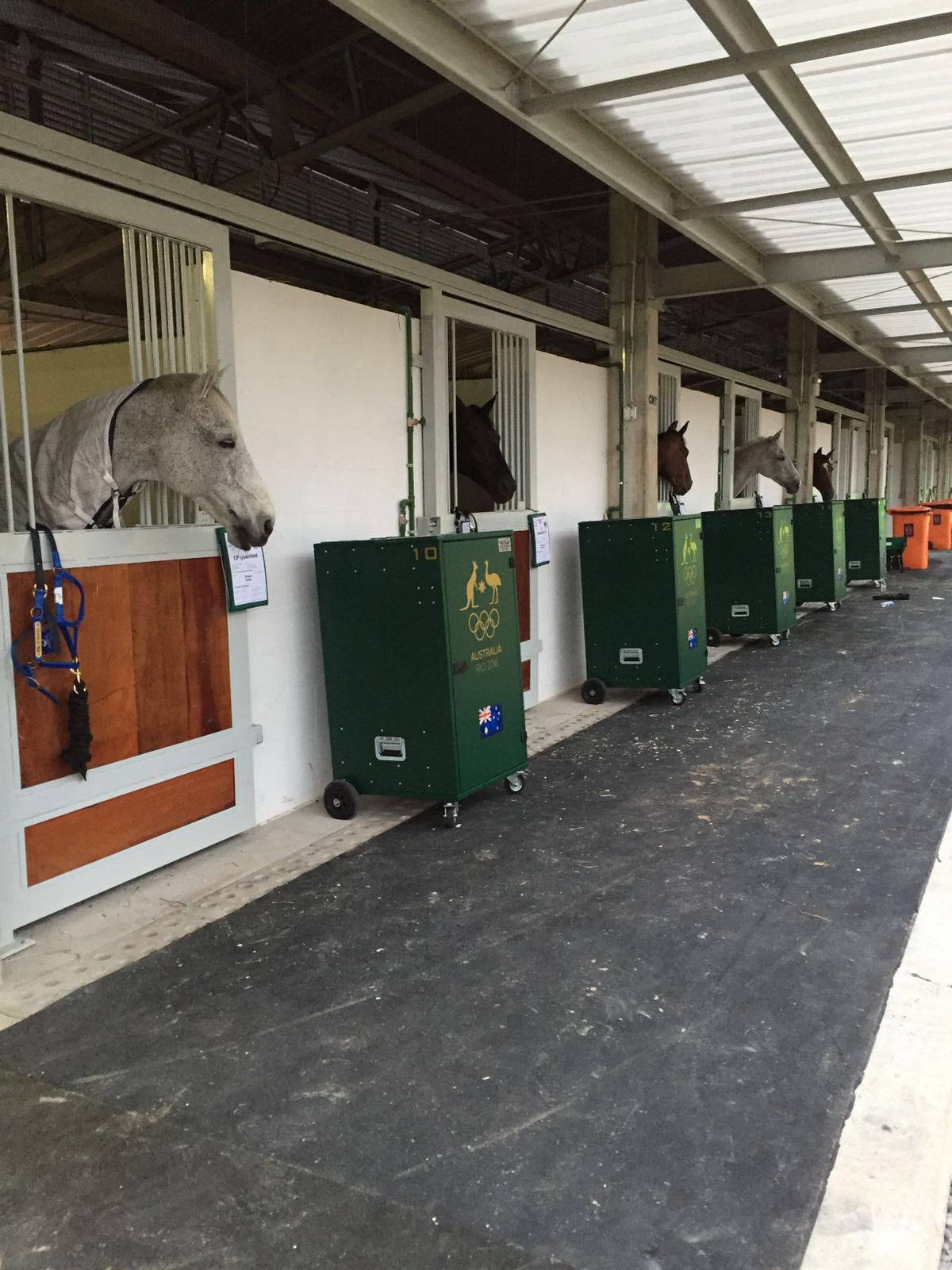 Australia’s four-legged athletes touch down in Rio | Australian Olympic ...