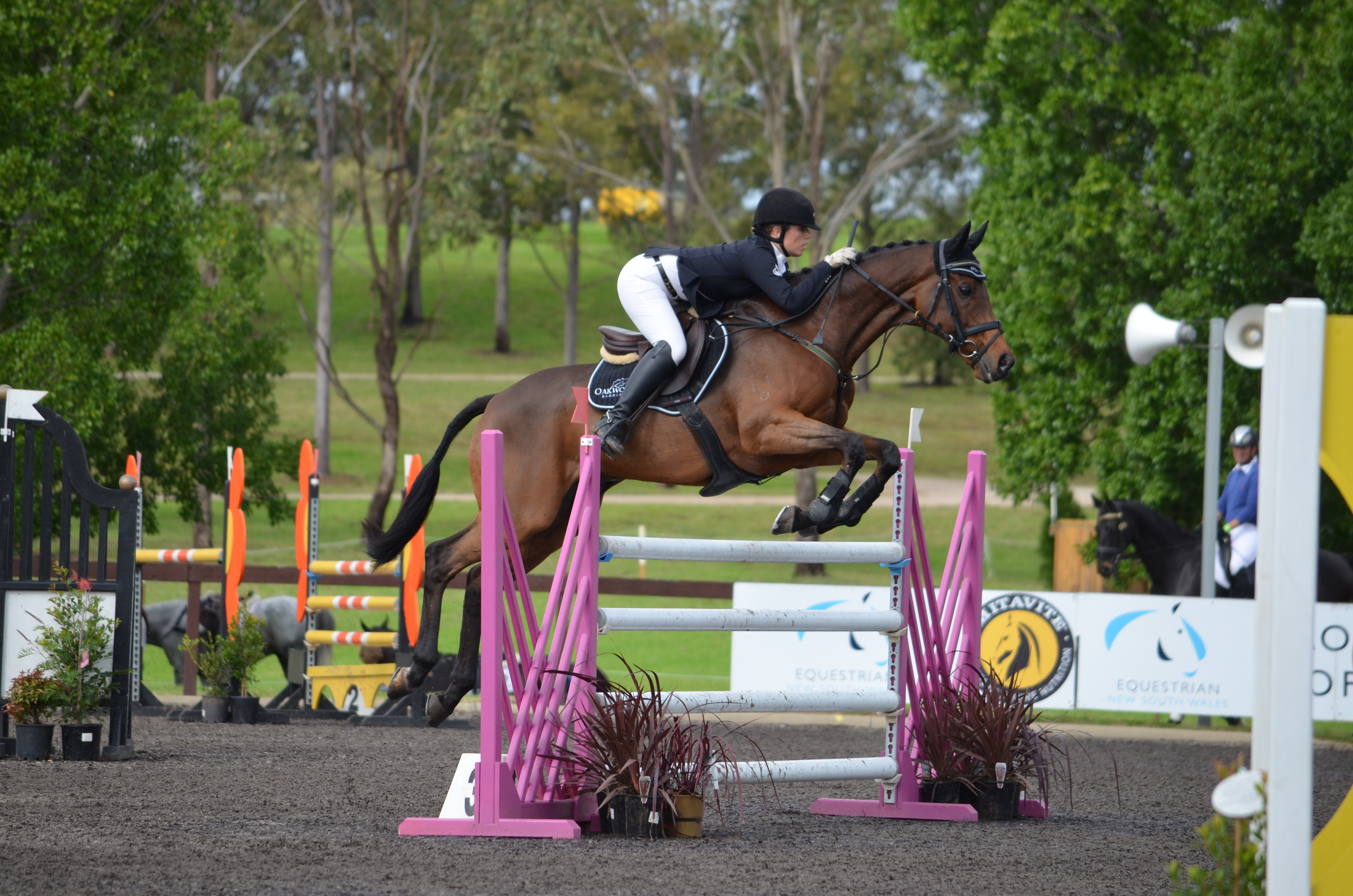 Lowery wins Sydney International CCI3 | Australian Olympic Committee