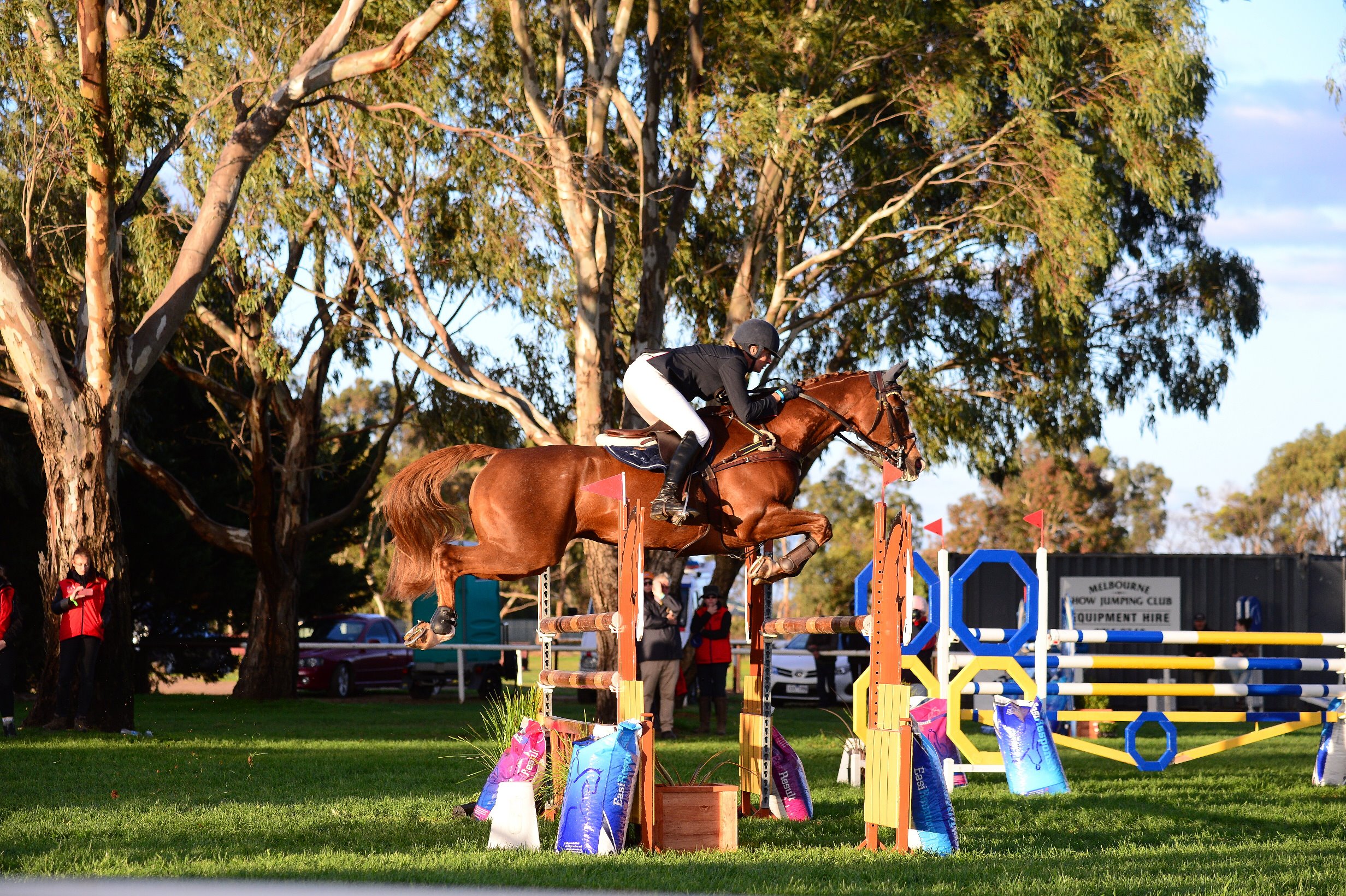 Bates wins Melbourne CCI3 | Australian Olympic Committee