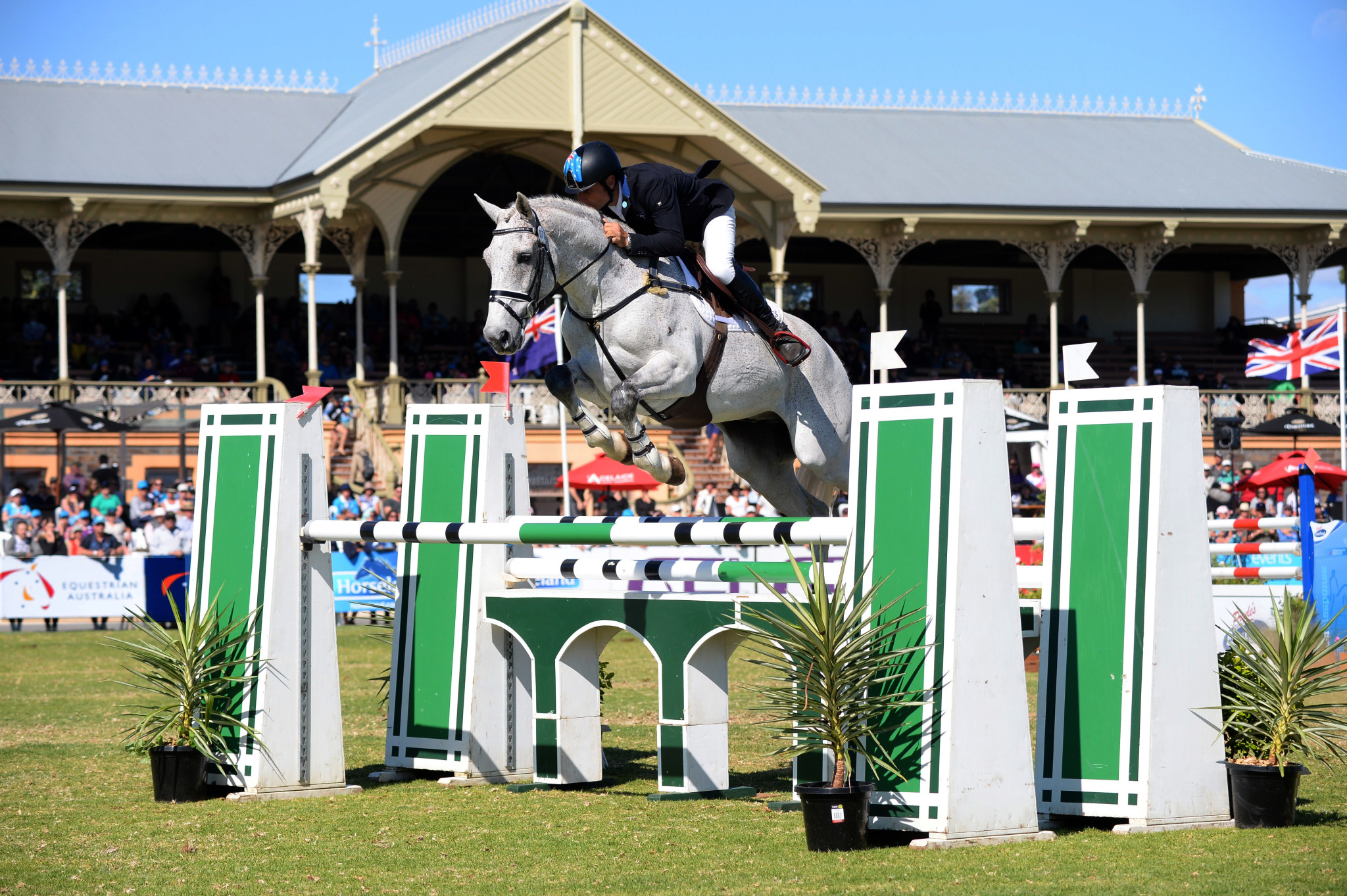 Rose sets his sights on Rio after winning Adelaide CCI4* | Australian ...