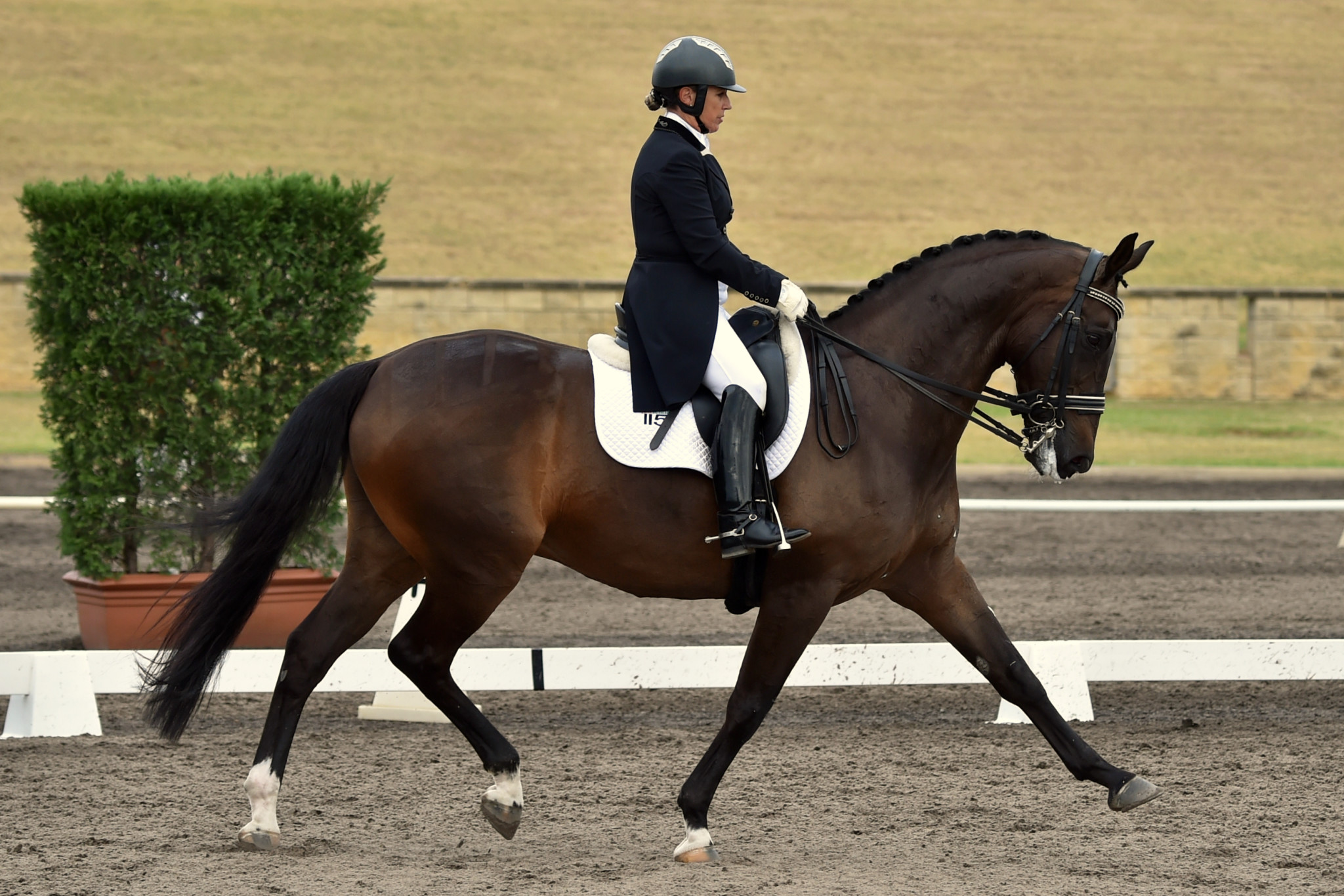 Hearn’s Olympic debut 60 years in the making | Australian Olympic Committee