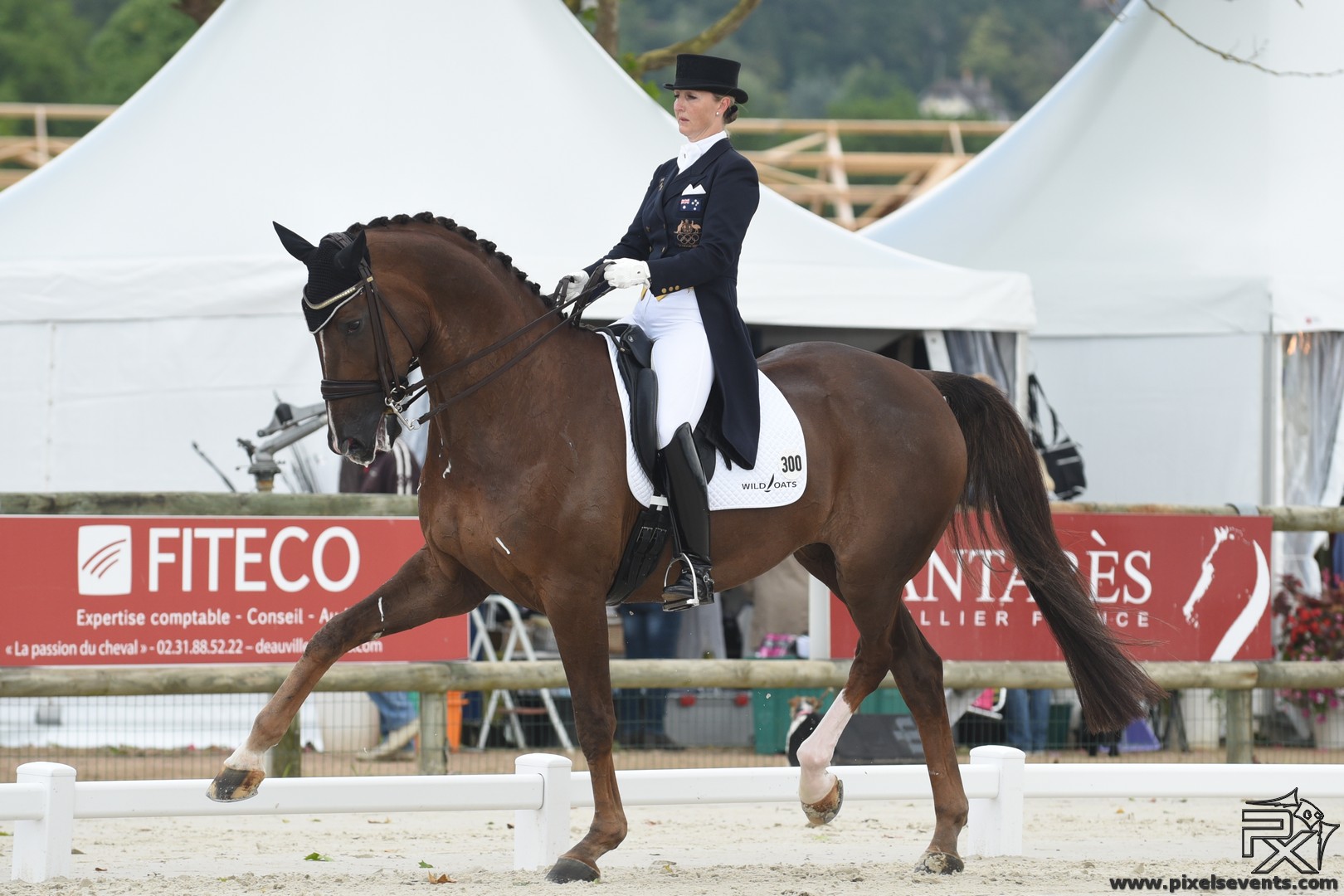 Final nomination event looms for Dressage hopefuls | Australian Olympic ...