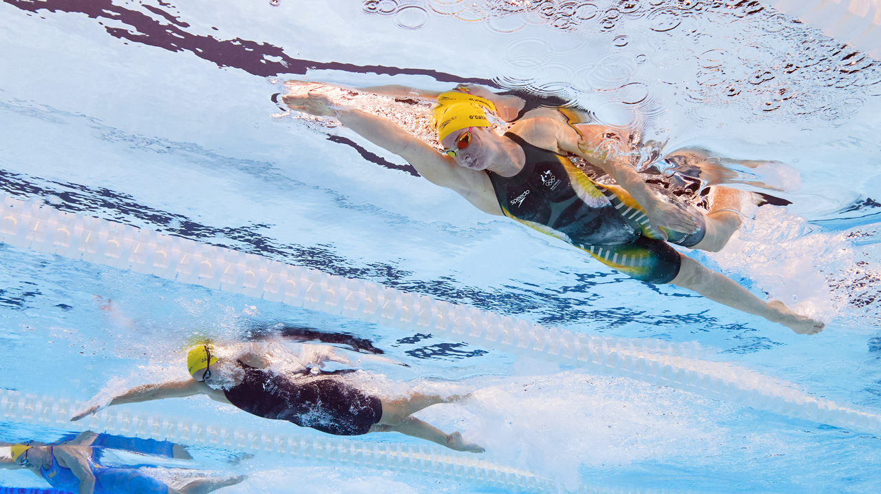 Dolphins sprint duo in lightning 100m Freestyle final | Australian ...
